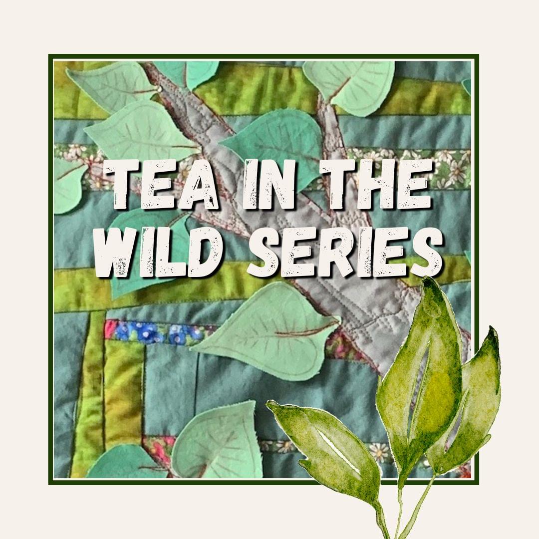 Tea in the Wild Series | Candace Hunter Artist